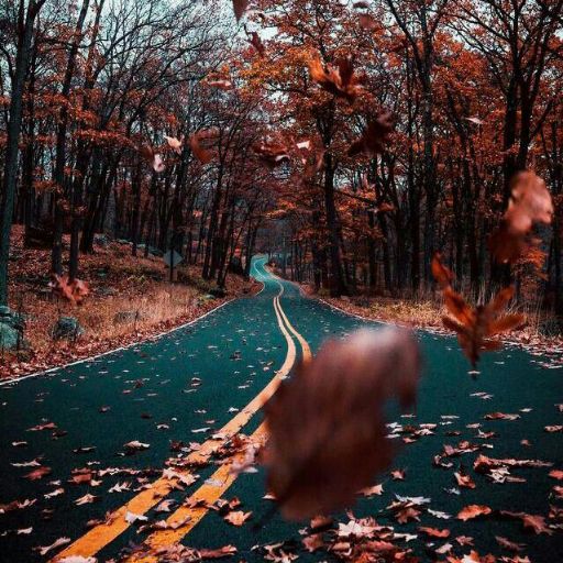 Mated To Four: Pregnant For The Alpha Brothers. PDF & Novel Online by Alexis Dee to Read for ...